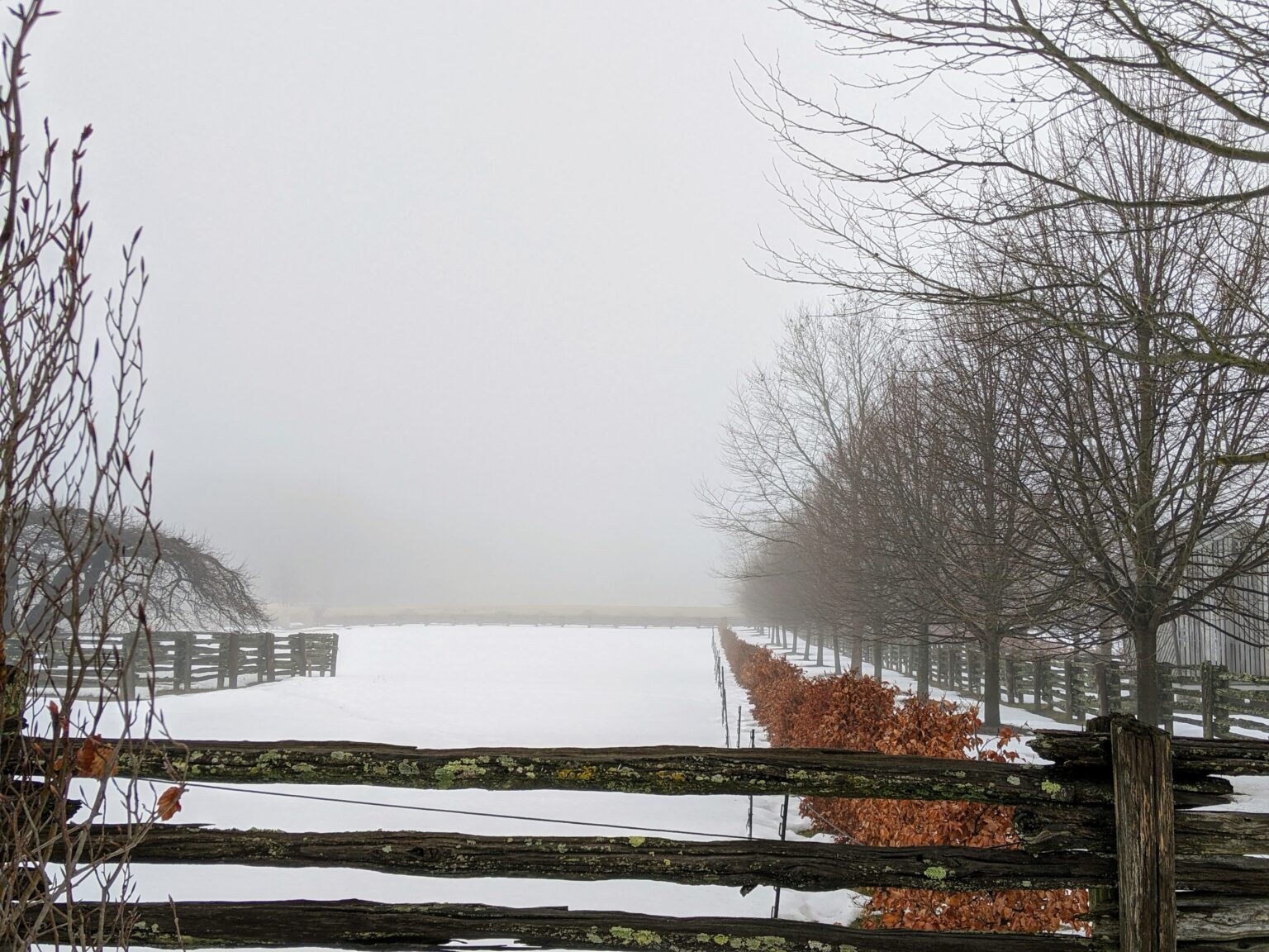 Morning Fog Over the Farm - The Martha Stewart Blog