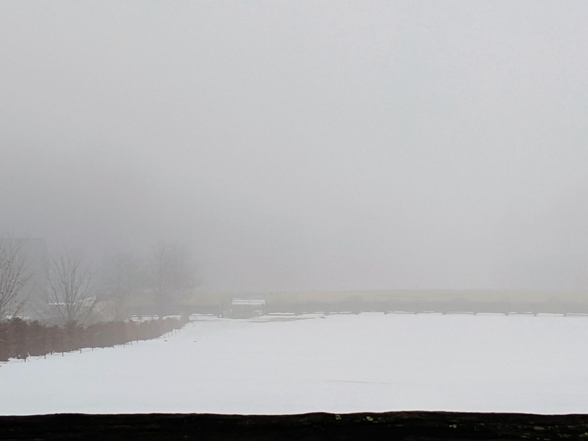 The Martha Stewart Blog : Blog Archive Morning Fog Over the Farm - The ...