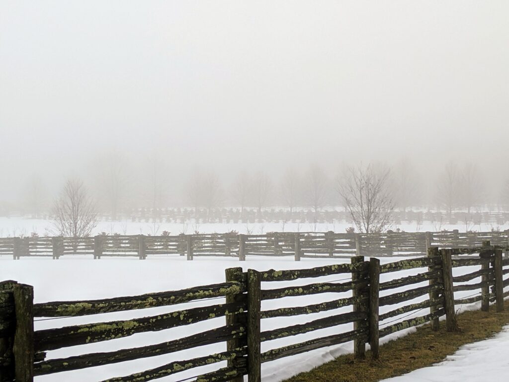 Morning Fog Over the Farm - The Martha Stewart Blog