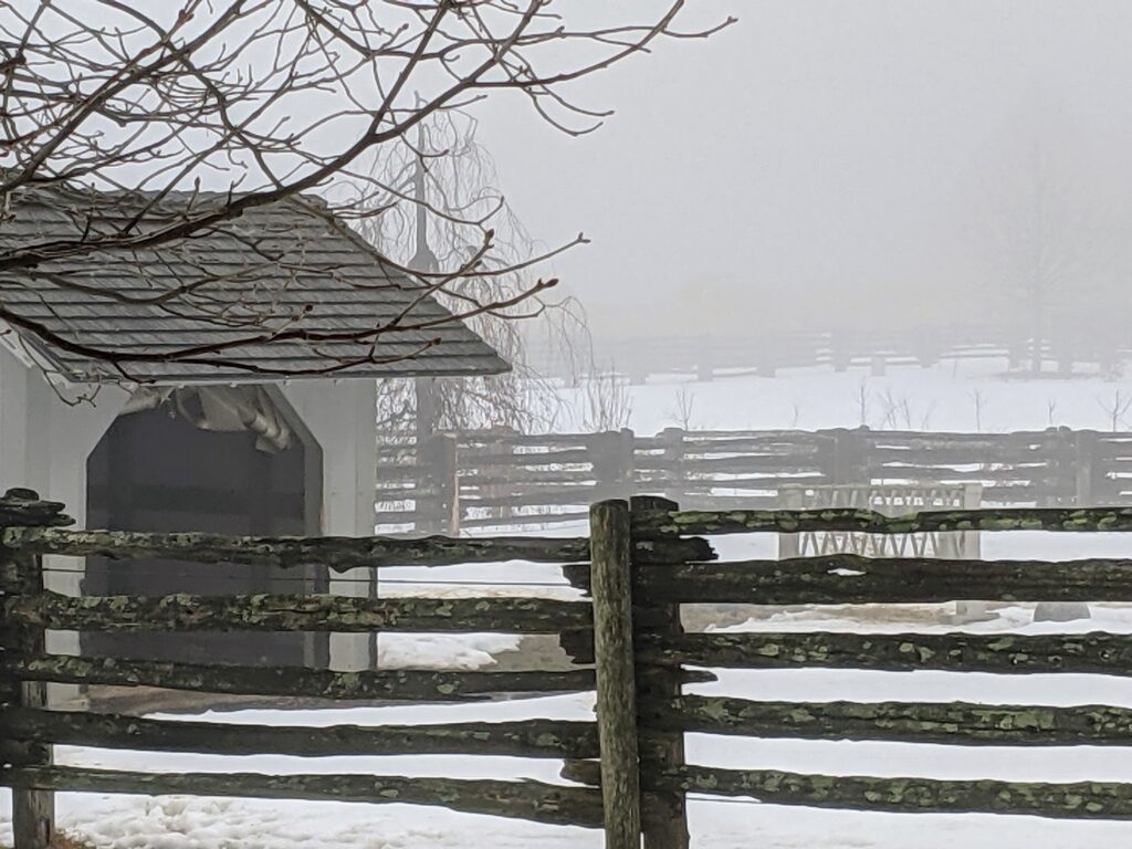 Morning Fog Over the Farm - The Martha Stewart Blog