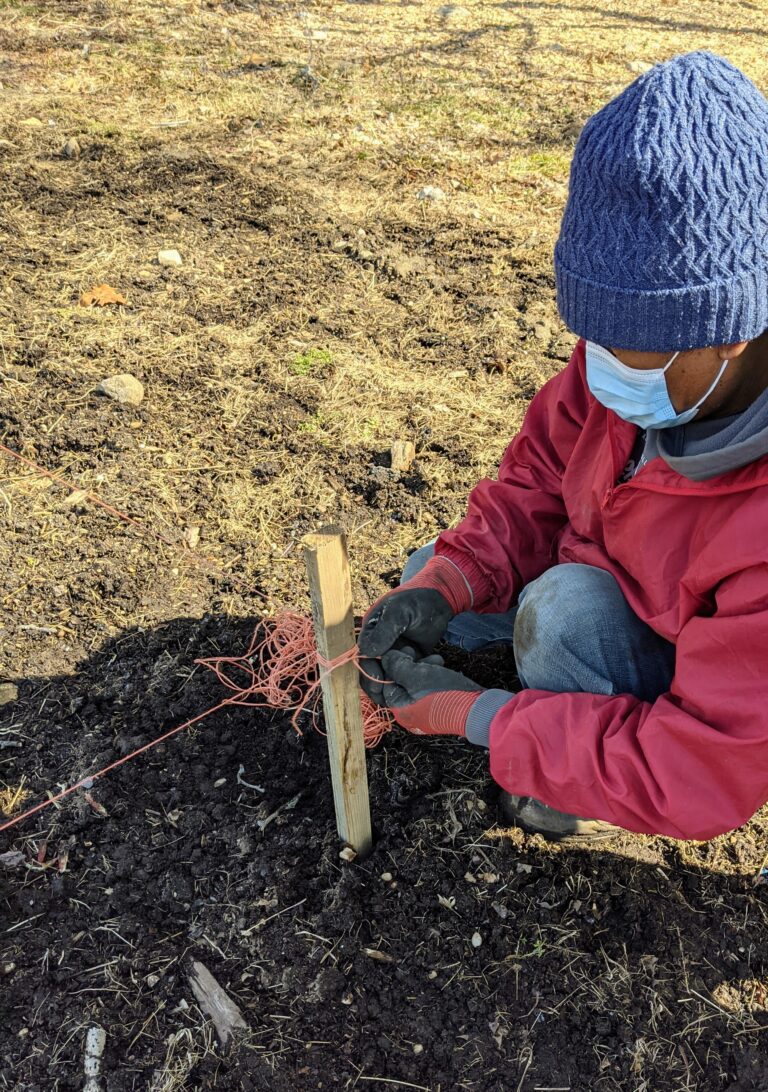 The Martha Stewart Blog : Blog Archive A New Pumpkin Patch Fence - The ...