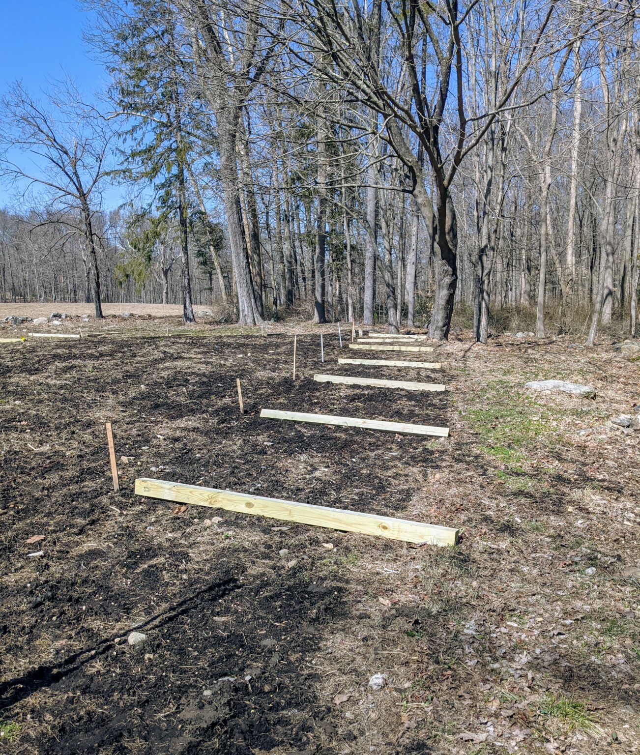 The Martha Stewart Blog : Blog Archive A New Pumpkin Patch Fence - The ...