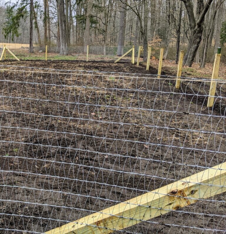 The Martha Stewart Blog : Blog Archive A New Pumpkin Patch Fence - The ...