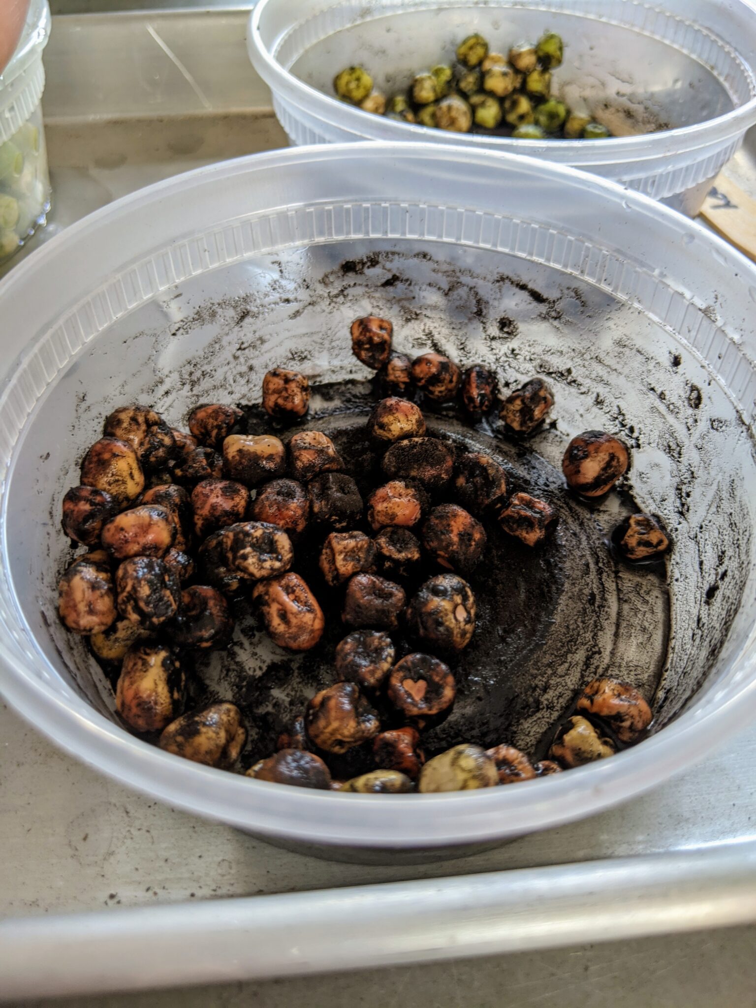 Preparing and Planting the Season's First Peas - The Martha Stewart Blog