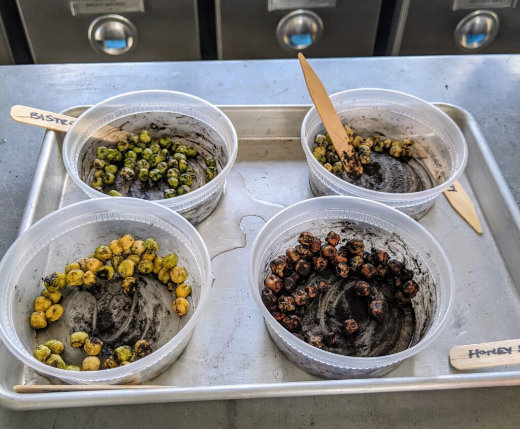 Preparing and Planting the Season's First Peas - The Martha Stewart Blog