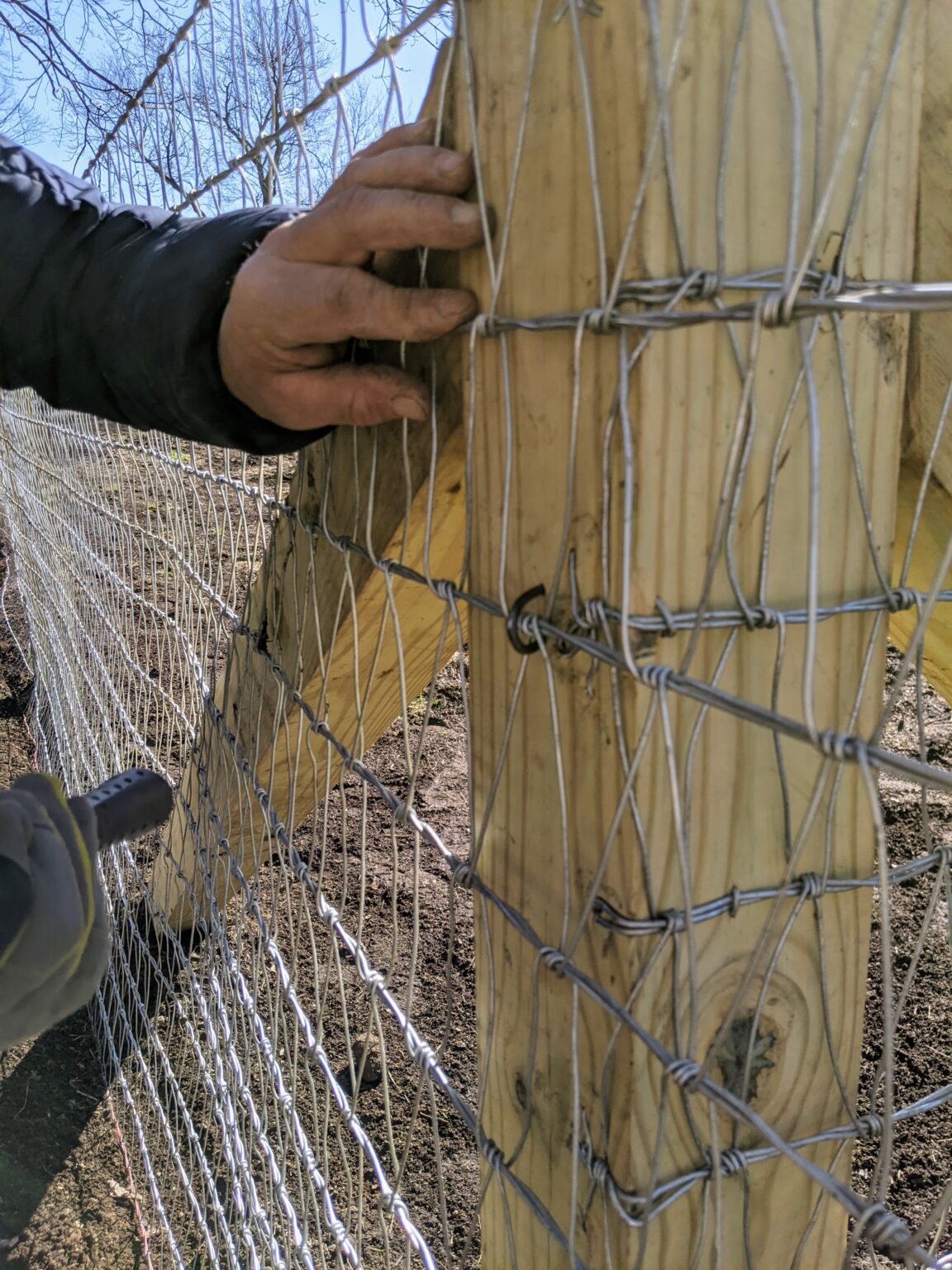 The Martha Stewart Blog : Blog Archive A New Pumpkin Patch Fence - The ...
