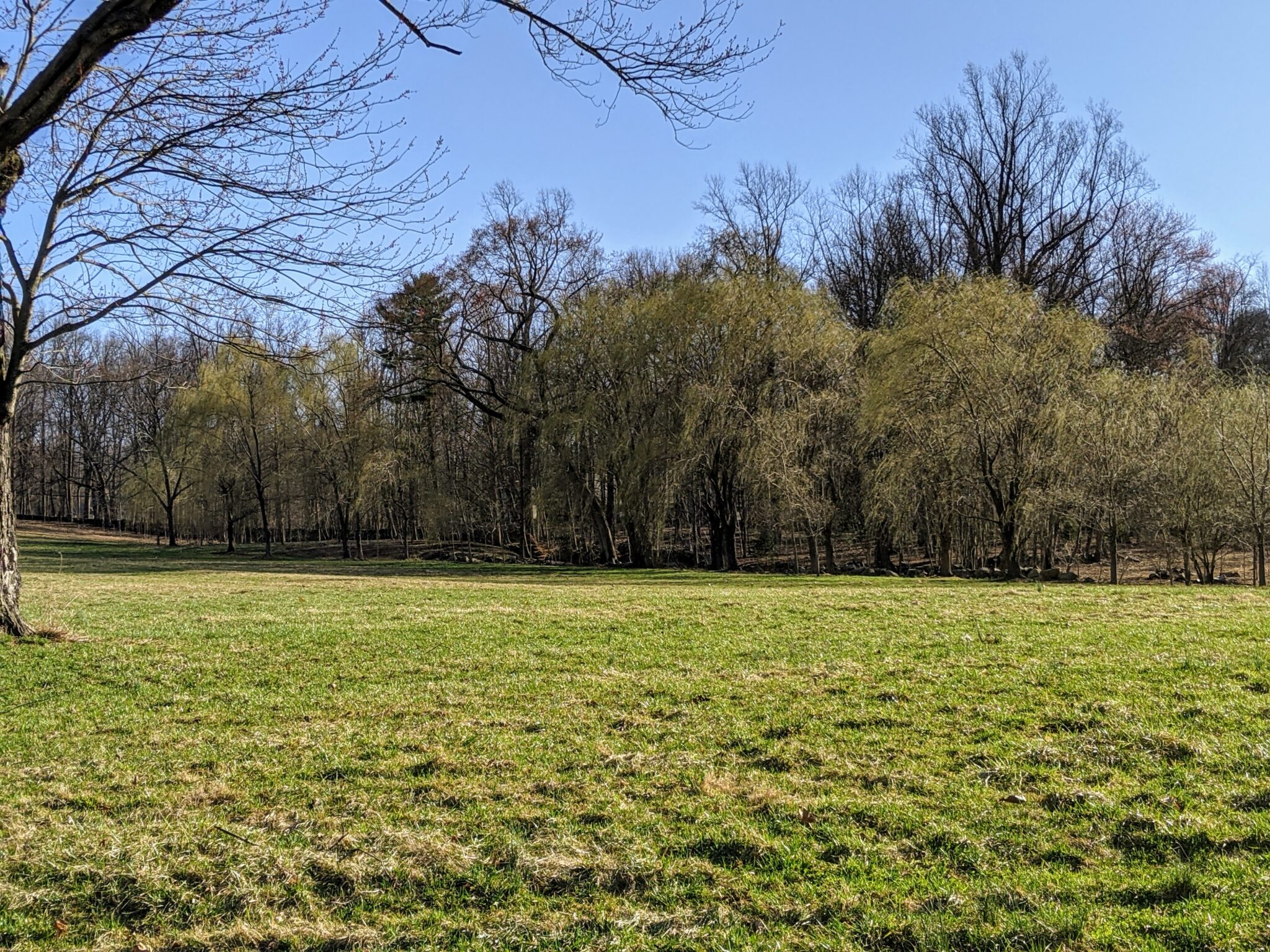 The Martha Stewart Blog : Blog Archive A New Pumpkin Patch Fence - The ...