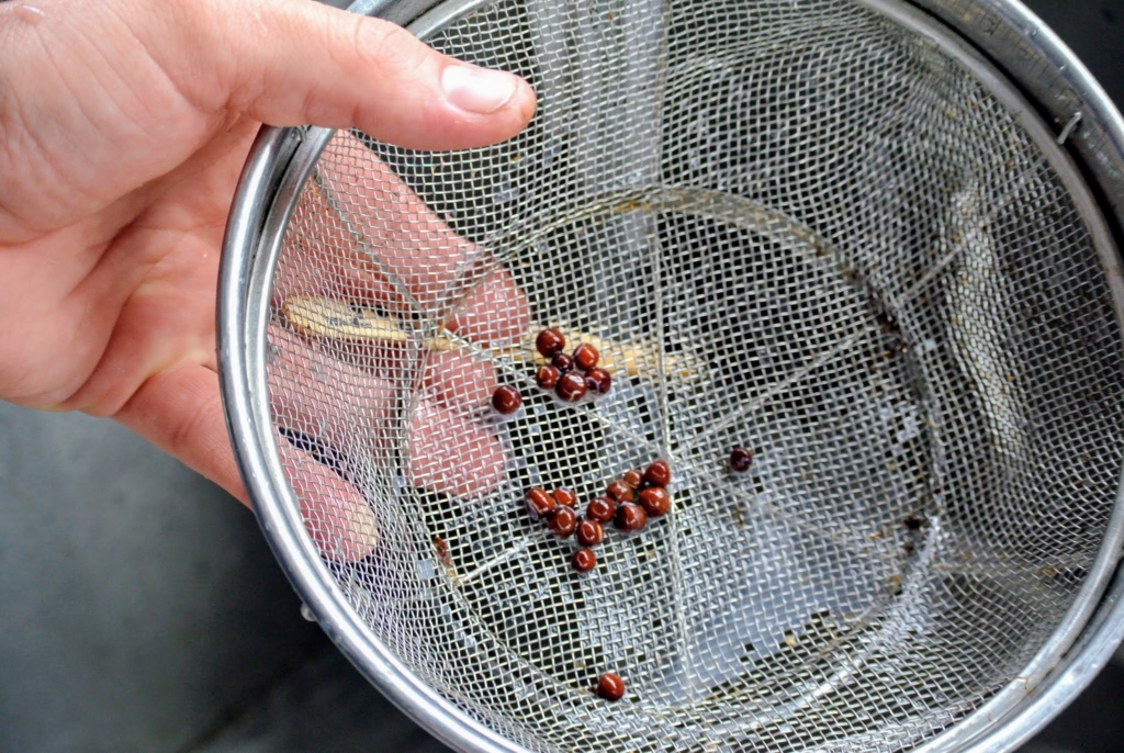 Planting Sweet Peas - The Martha Stewart Blog