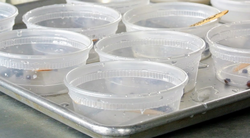 Planting Sweet Peas - The Martha Stewart Blog