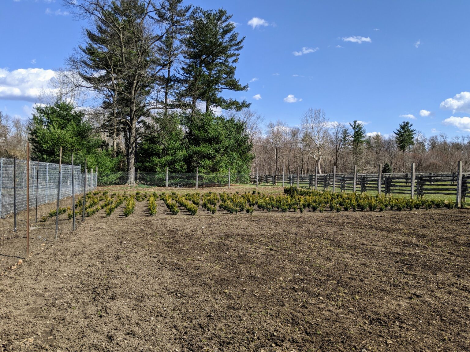 Rototilling the Vegetable Garden for Planting - The Martha Stewart Blog