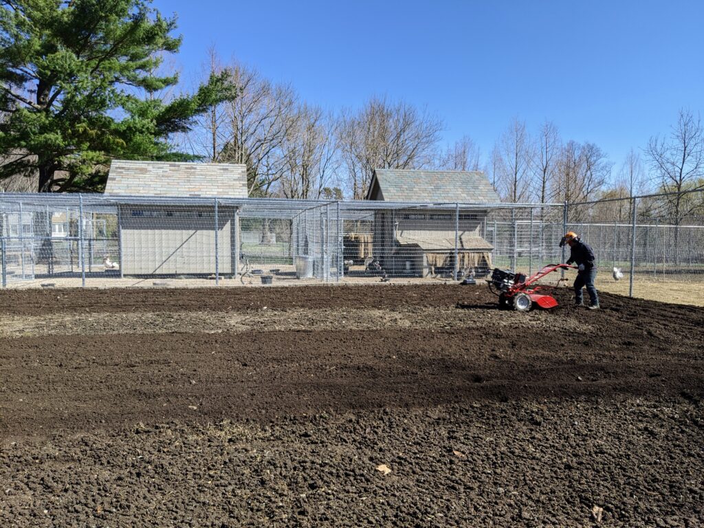 The Martha Stewart Blog : Blog Archive Rototilling the Vegetable Garden ...