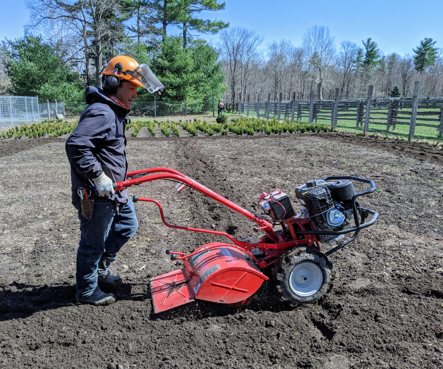 Rototilling the Vegetable Garden for Planting - The Martha Stewart Blog