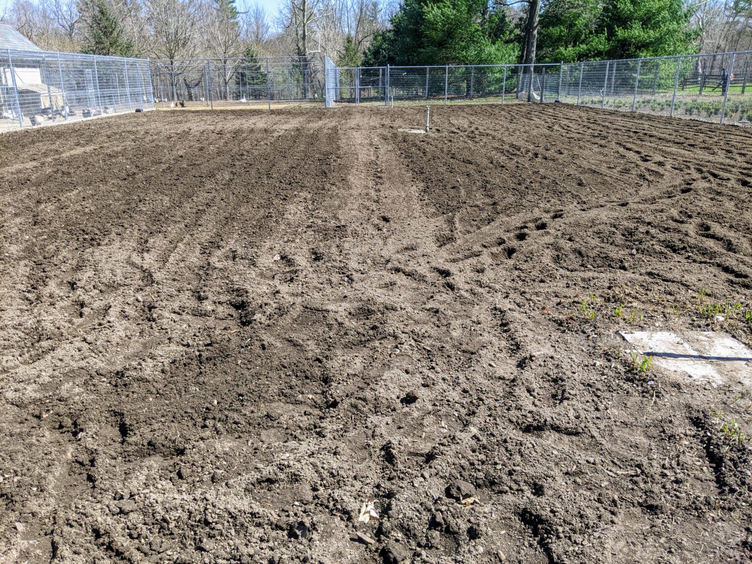 Rototilling the Vegetable Garden for Planting - The Martha Stewart Blog
