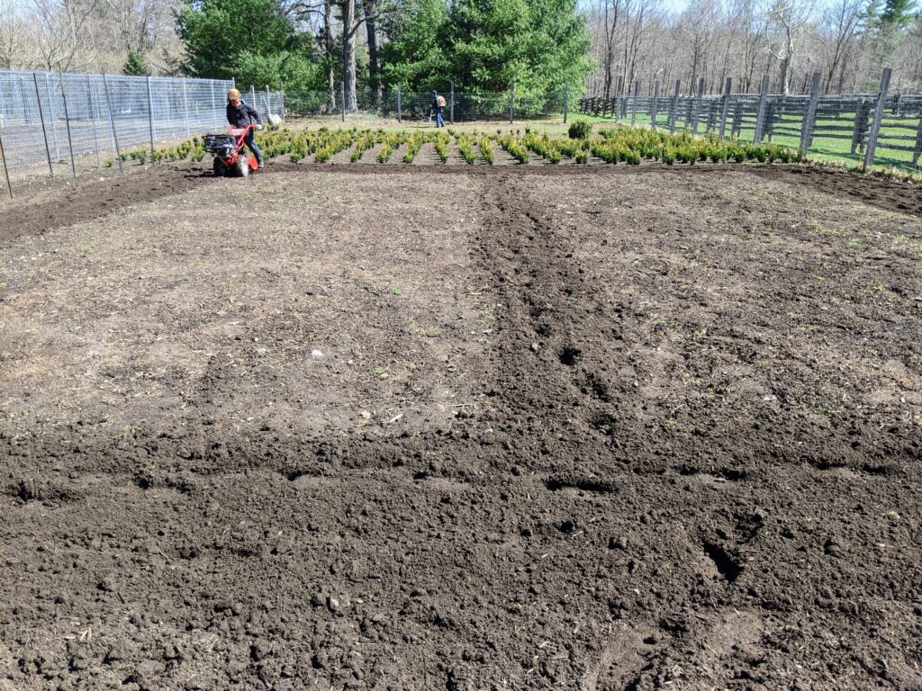 The Martha Stewart Blog : Blog Archive Rototilling the Vegetable Garden ...