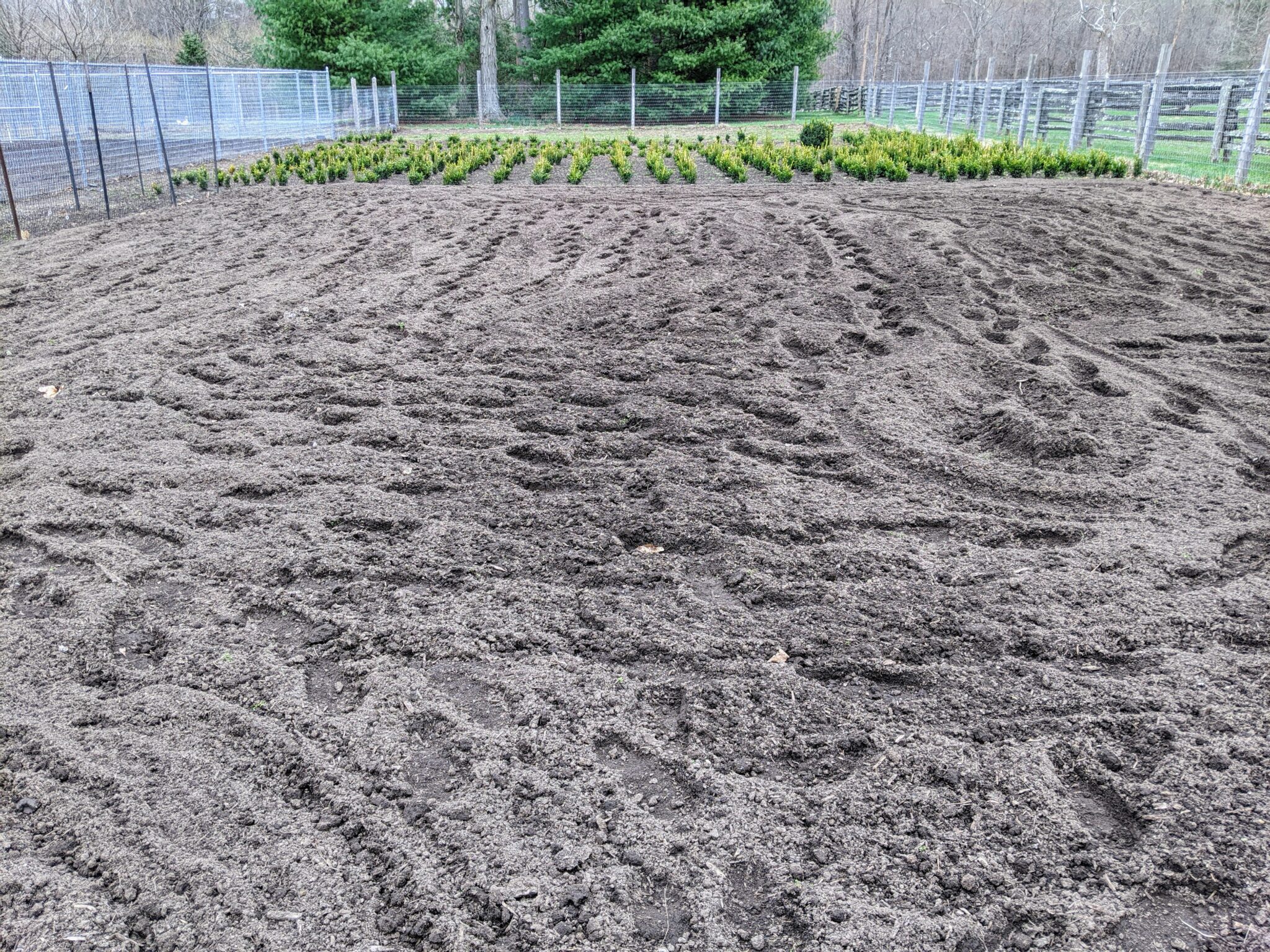 Rototilling the Vegetable Garden for Planting - The Martha Stewart Blog