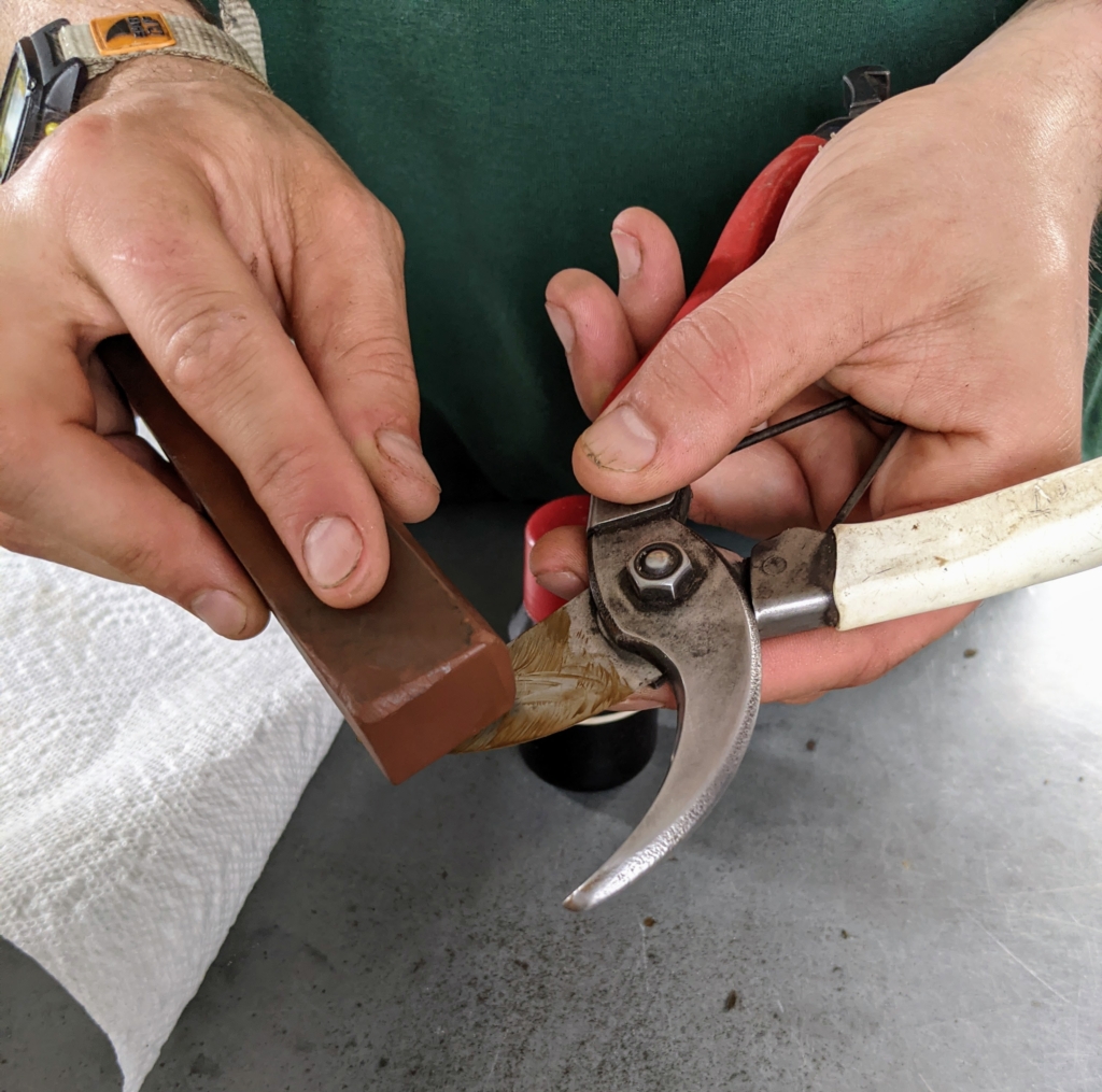 The Martha Stewart Blog : Blog Archive Maintaining Garden Tools - The ...