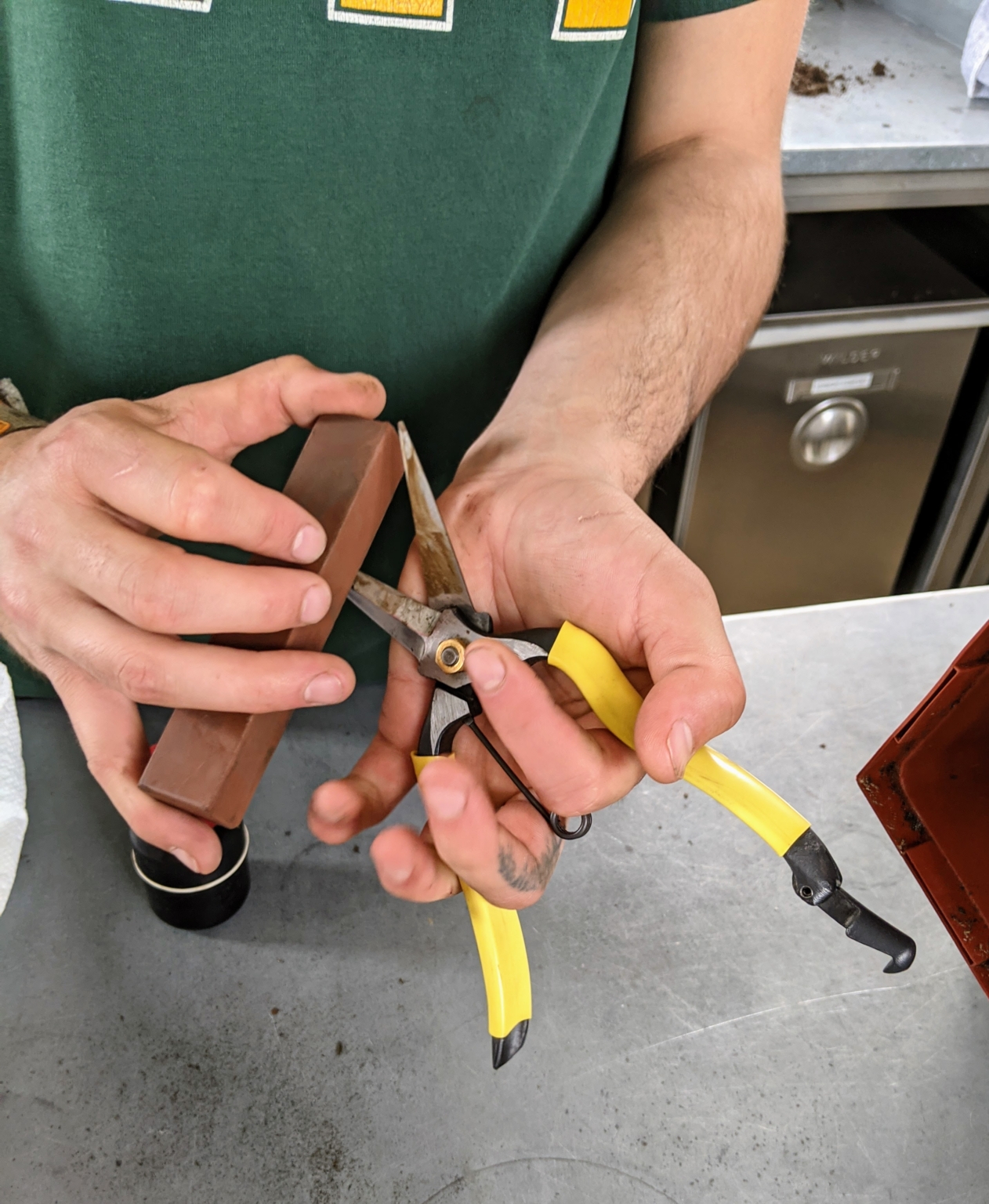 Maintaining Garden Tools - The Martha Stewart Blog