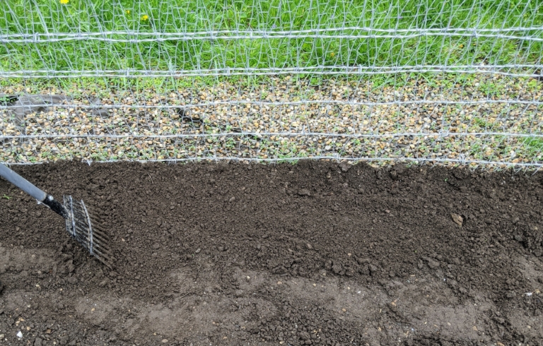 Planting Sweet Peas - The Martha Stewart Blog