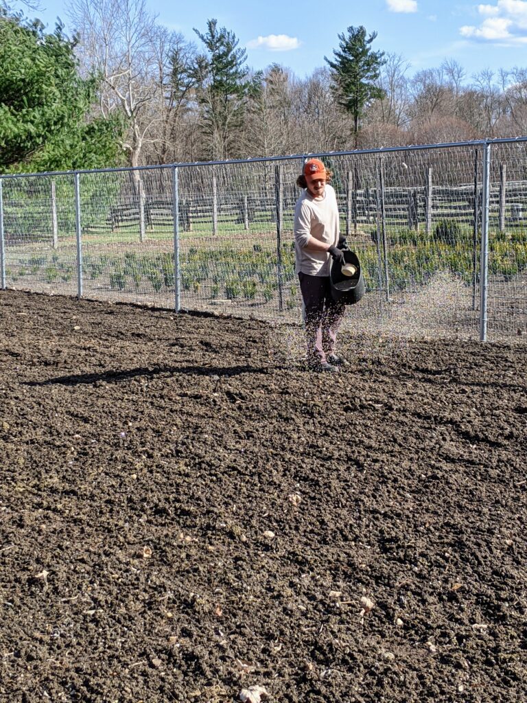 Rototilling the Vegetable Garden for Planting - The Martha Stewart Blog