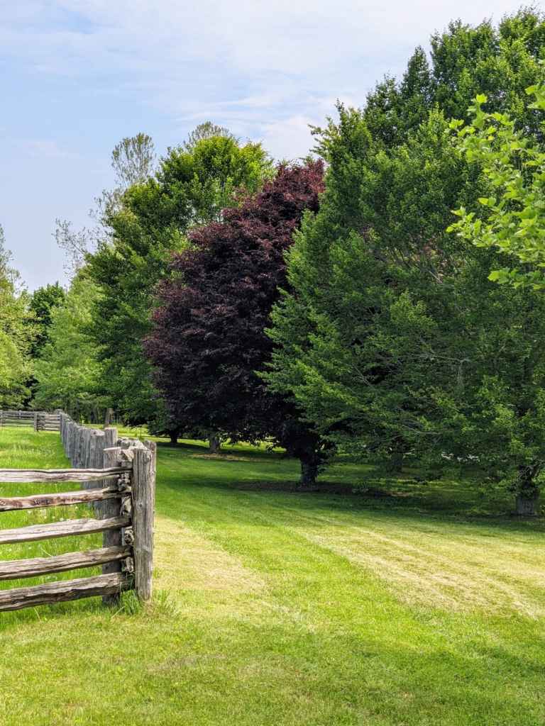 The Martha Stewart Blog : Blog Archive A Spring Garden Tour Around My ...