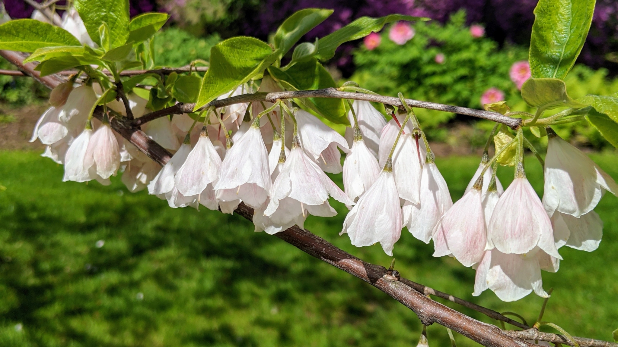 A Spring Business Breakfast at My Farm - The Martha Stewart Blog