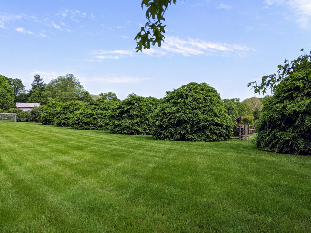 A Spring Garden Tour Around My Farm - The Martha Stewart Blog