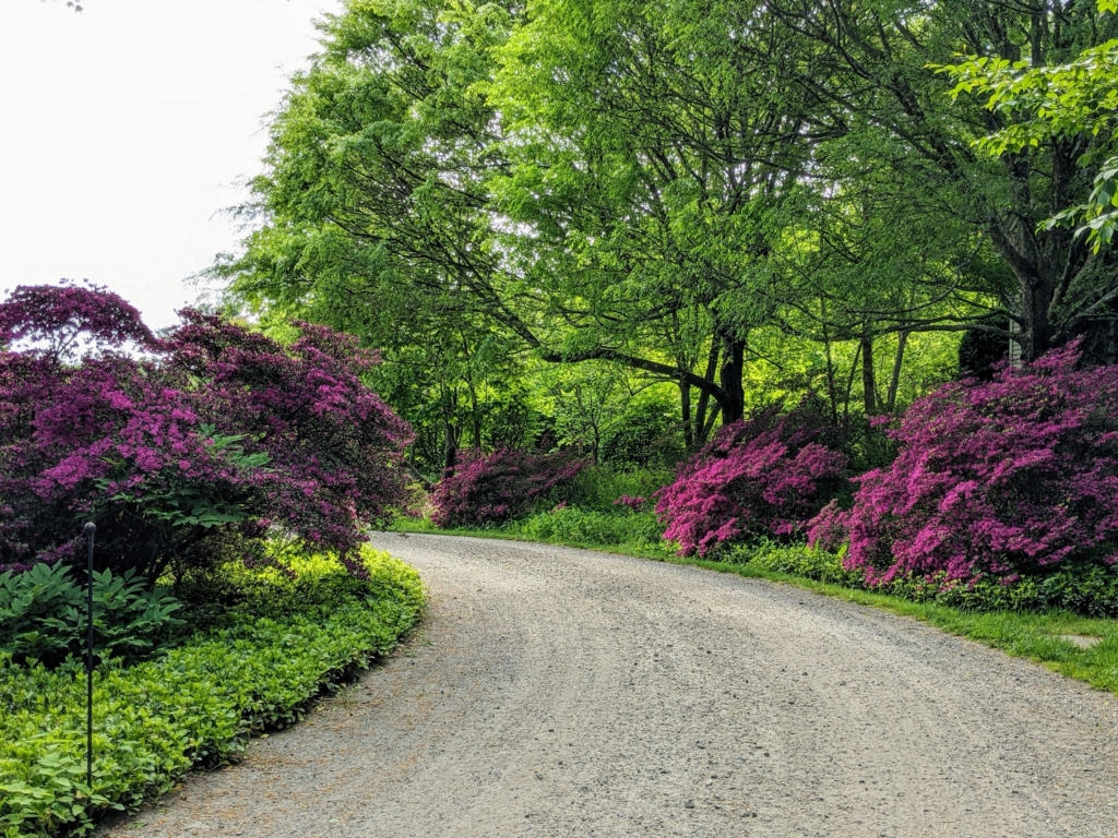 A Spring Garden Tour Around My Farm - The Martha Stewart Blog