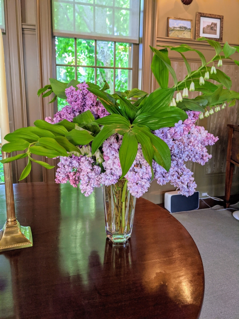 A Spring Dinner at My Farm, Part 2 - The Martha Stewart Blog