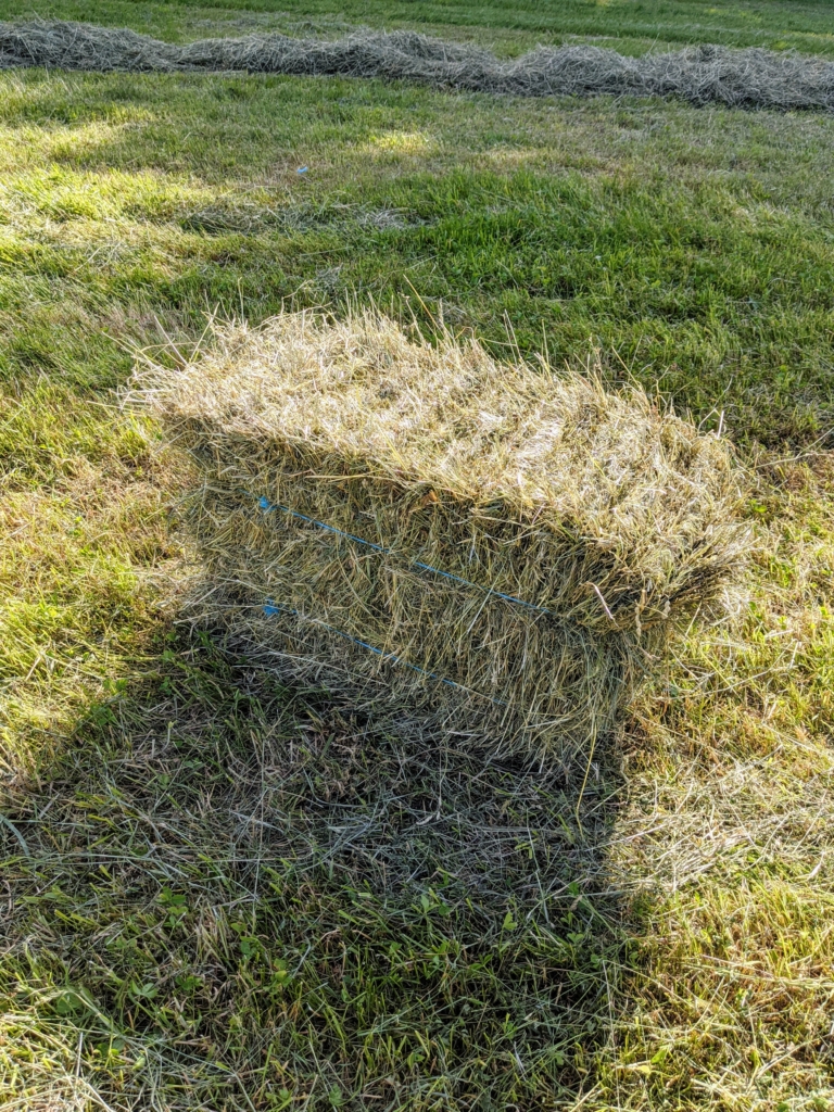 Baling the First Cut of Hay - The Martha Stewart Blog