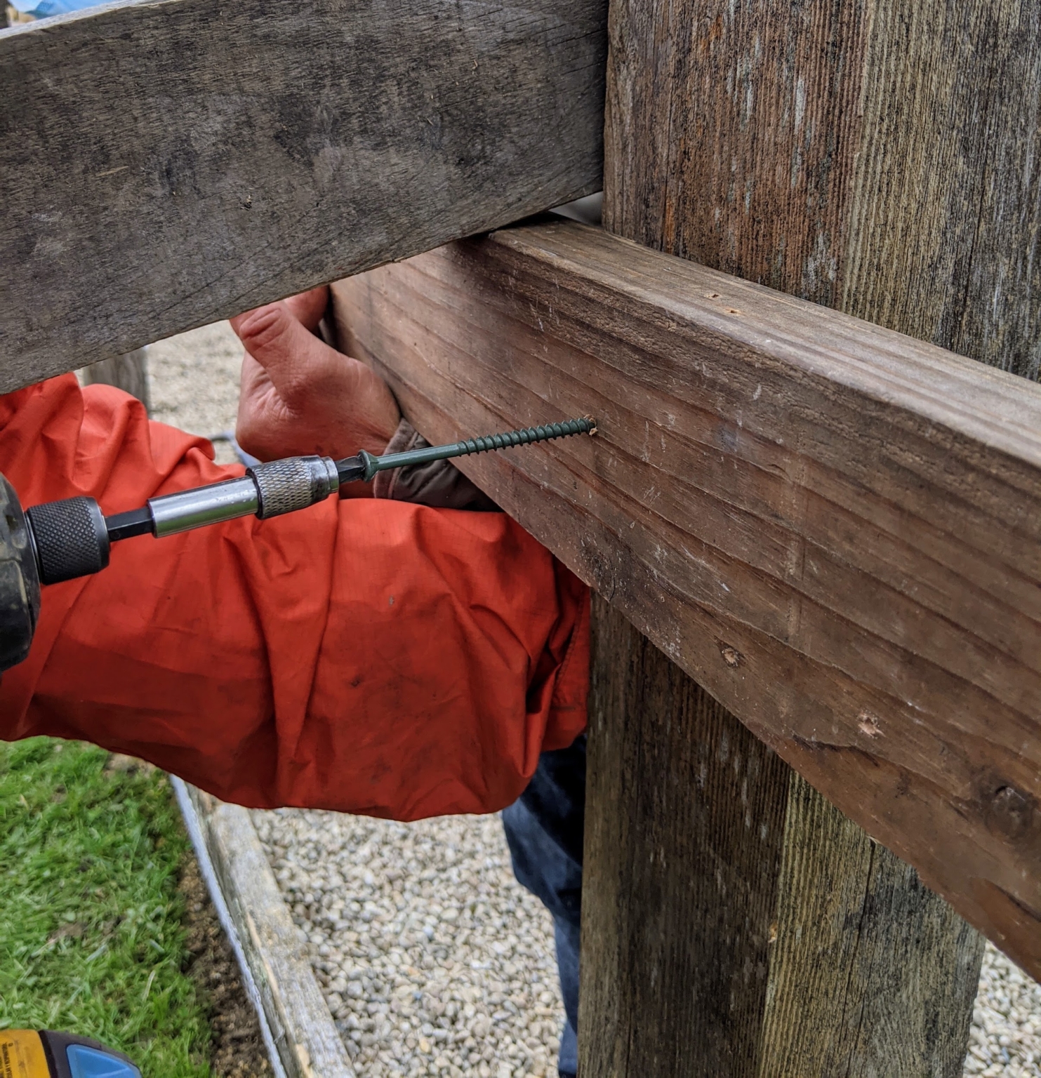 Building a Shelter for My Geese - The Martha Stewart Blog