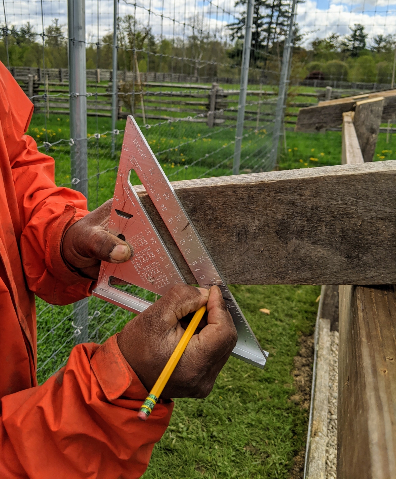 Building a Shelter for My Geese - The Martha Stewart Blog