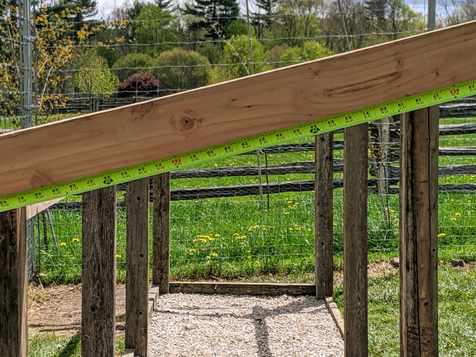 Building a Shelter for My Geese - The Martha Stewart Blog