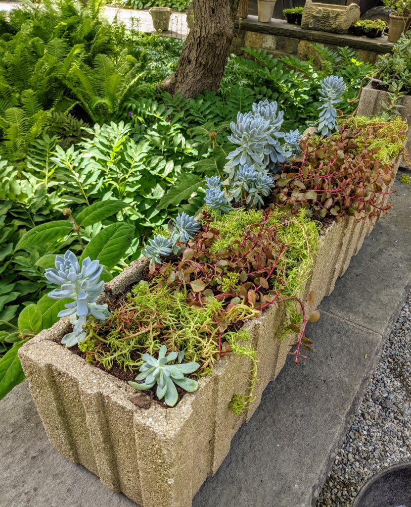 Planting the Troughs Outside My Winter House - The Martha Stewart Blog