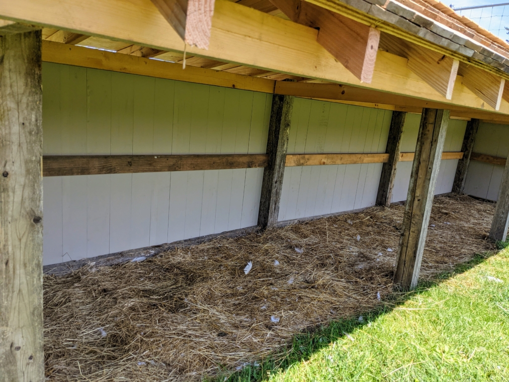 The Martha Stewart Blog : Blog Archive Building a Shelter for My Geese ...