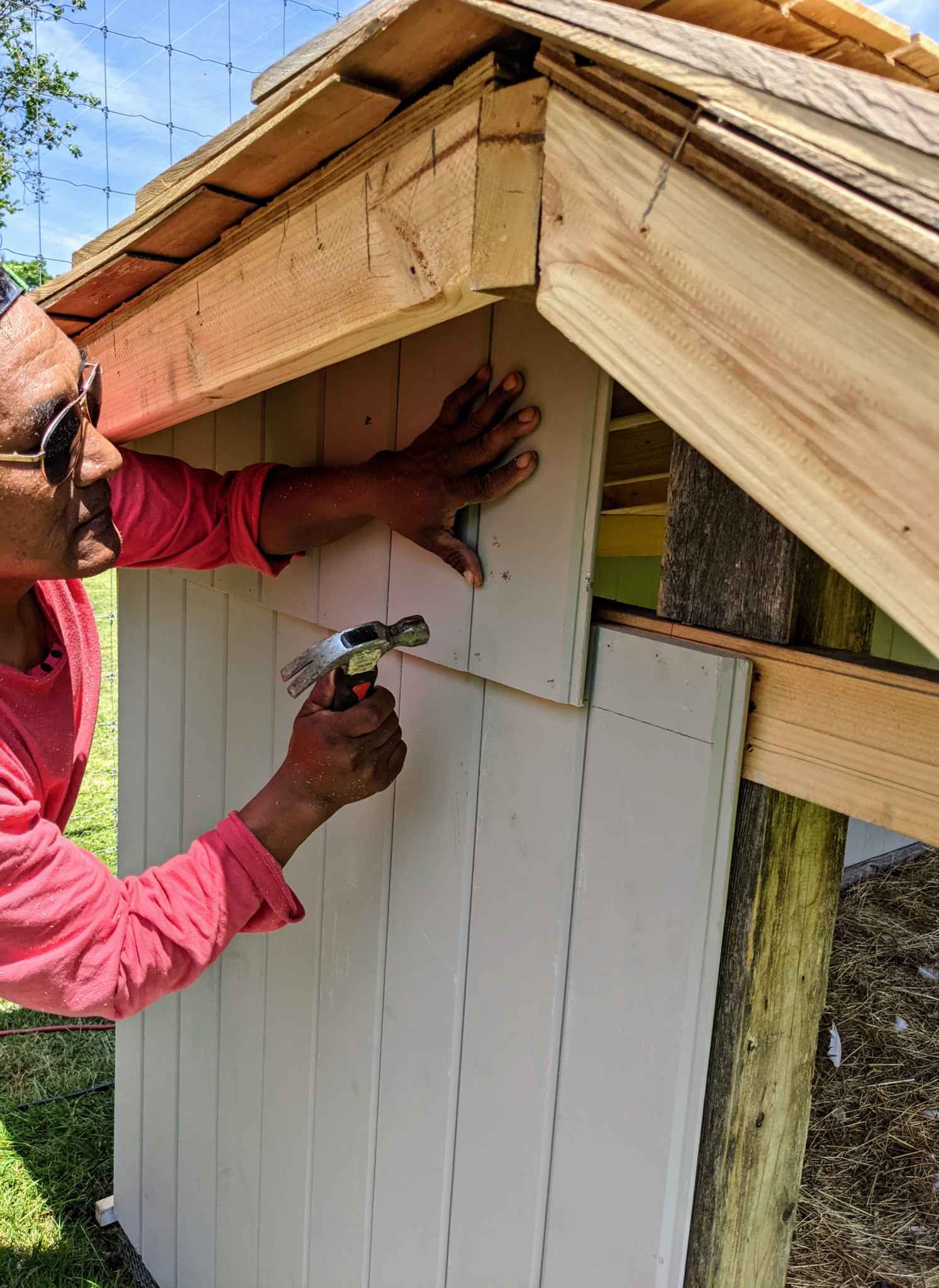 Building a Shelter for My Geese - The Martha Stewart Blog