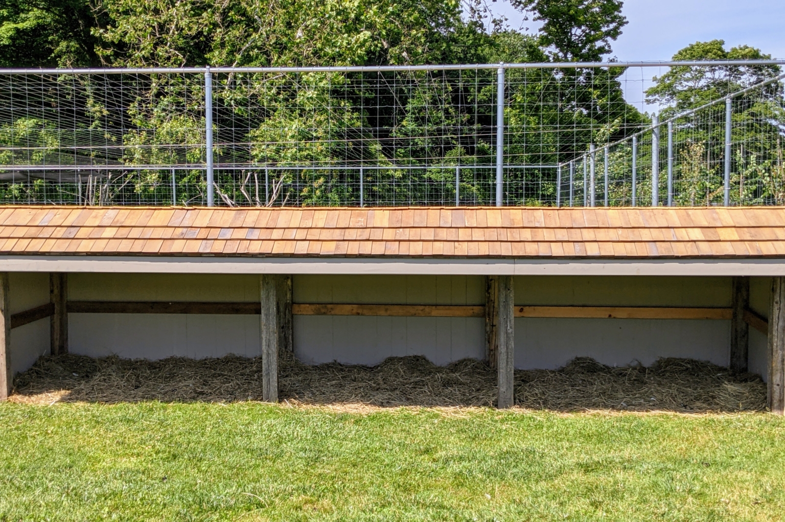 Building a Shelter for My Geese - The Martha Stewart Blog