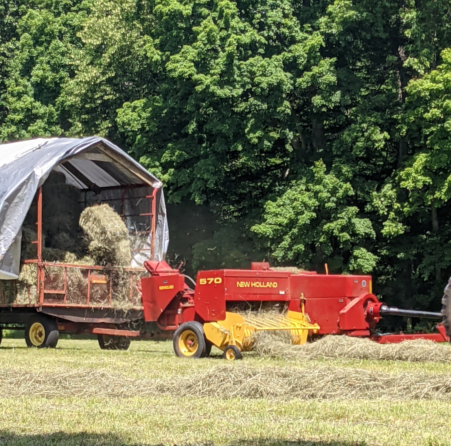 Baling the First Cut of Hay - The Martha Stewart Blog