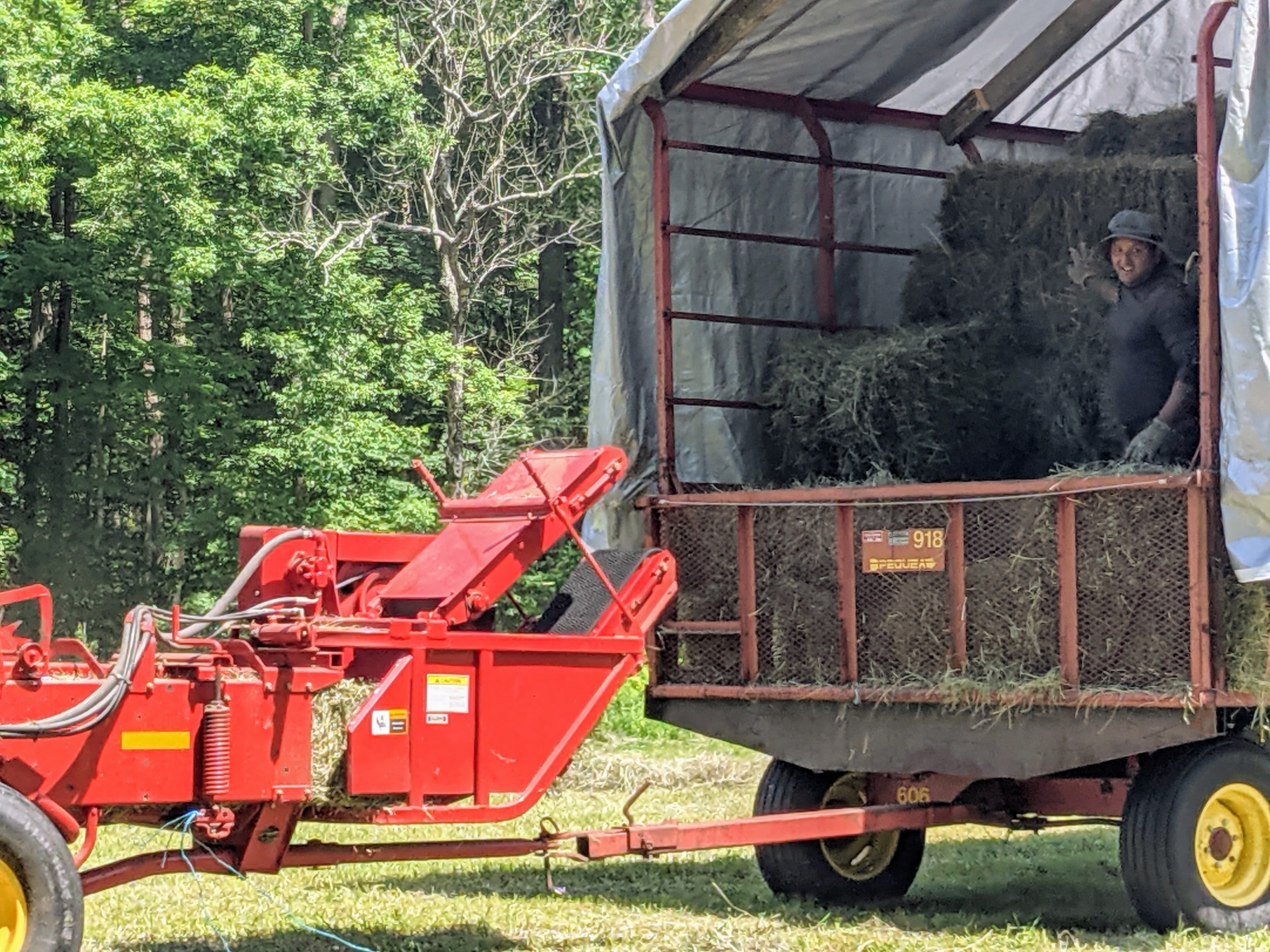 Baling the First Cut of Hay - The Martha Stewart Blog