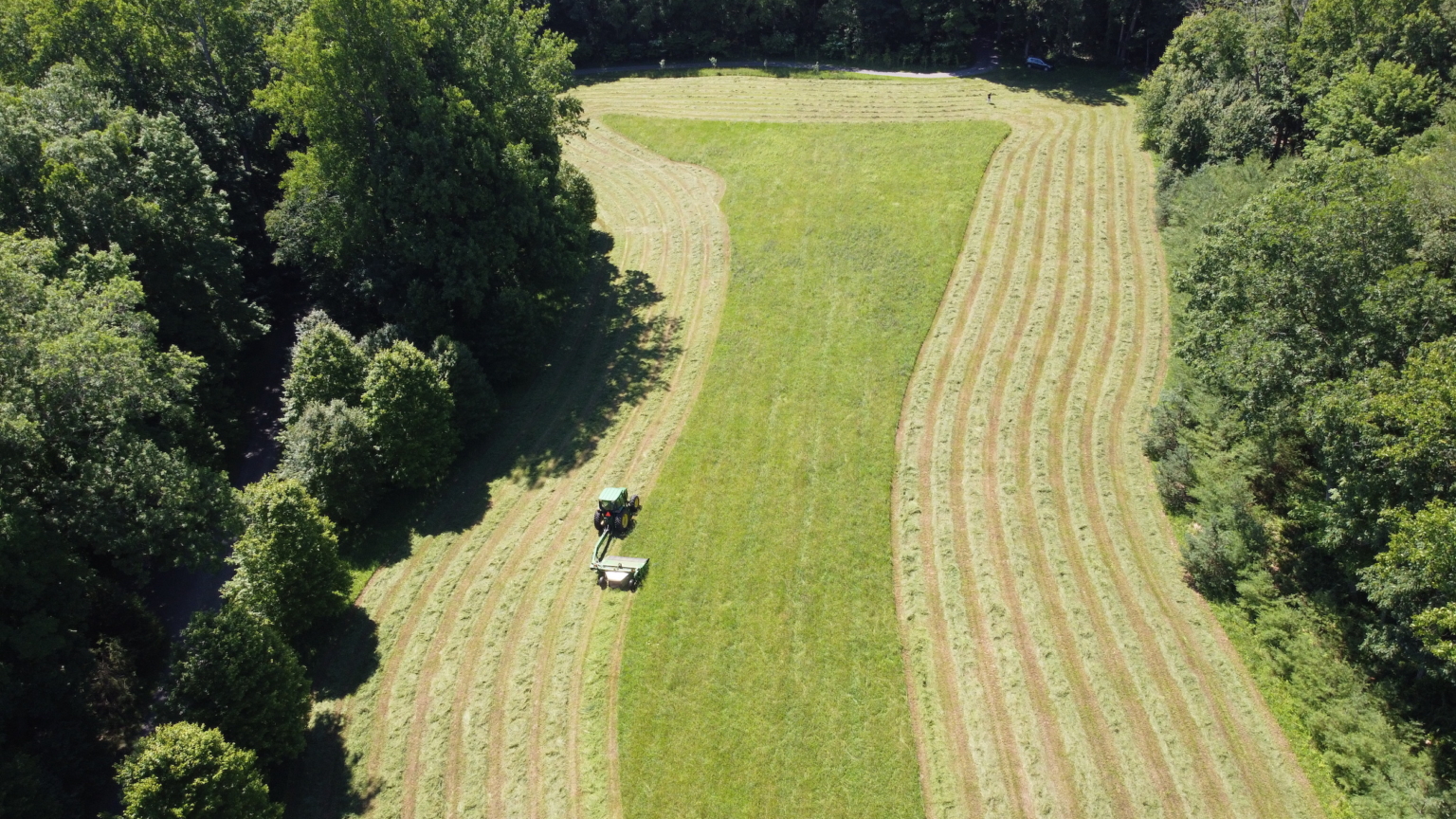Cutting and Preparing the Hay for Baling - The Martha Stewart Blog