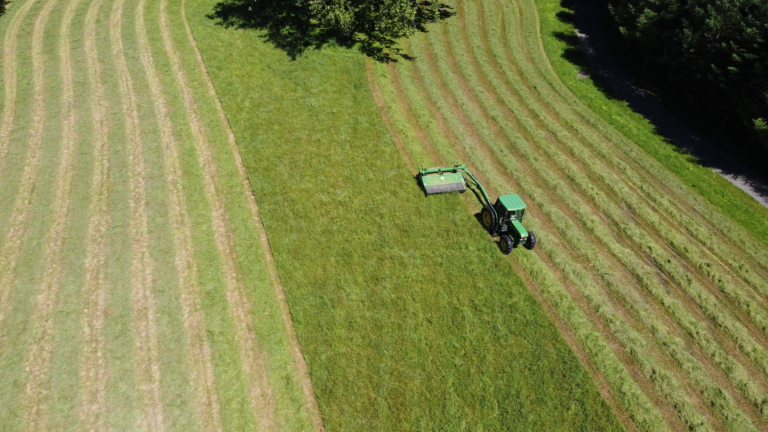 Cutting and Preparing the Hay for Baling - The Martha Stewart Blog
