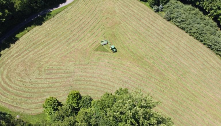 Cutting and Preparing the Hay for Baling - The Martha Stewart Blog