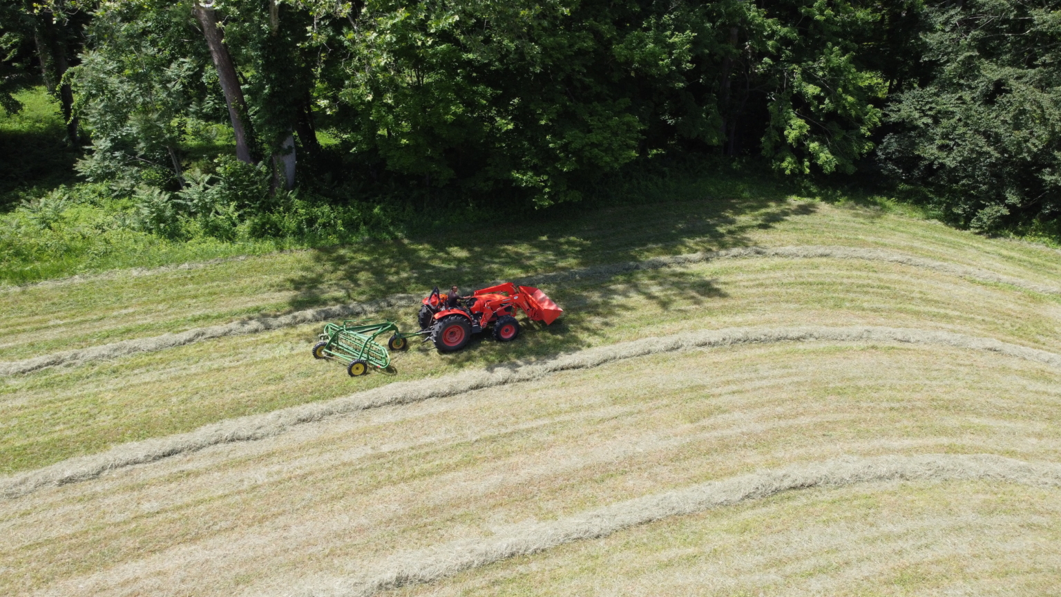 Cutting and Preparing the Hay for Baling - The Martha Stewart Blog