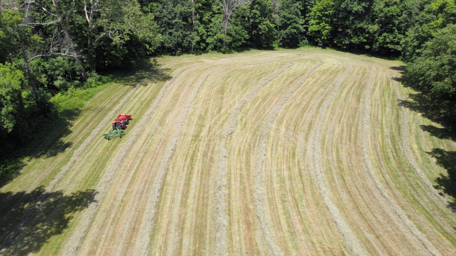Cutting and Preparing the Hay for Baling - The Martha Stewart Blog