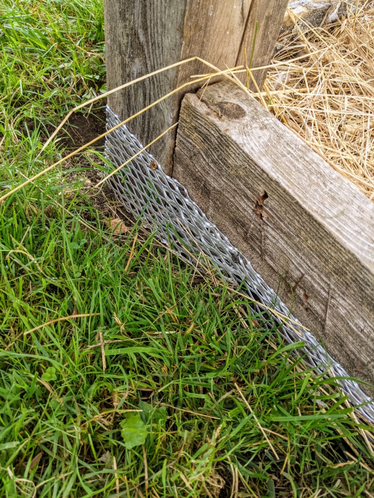 Building a Shelter for My Geese - The Martha Stewart Blog