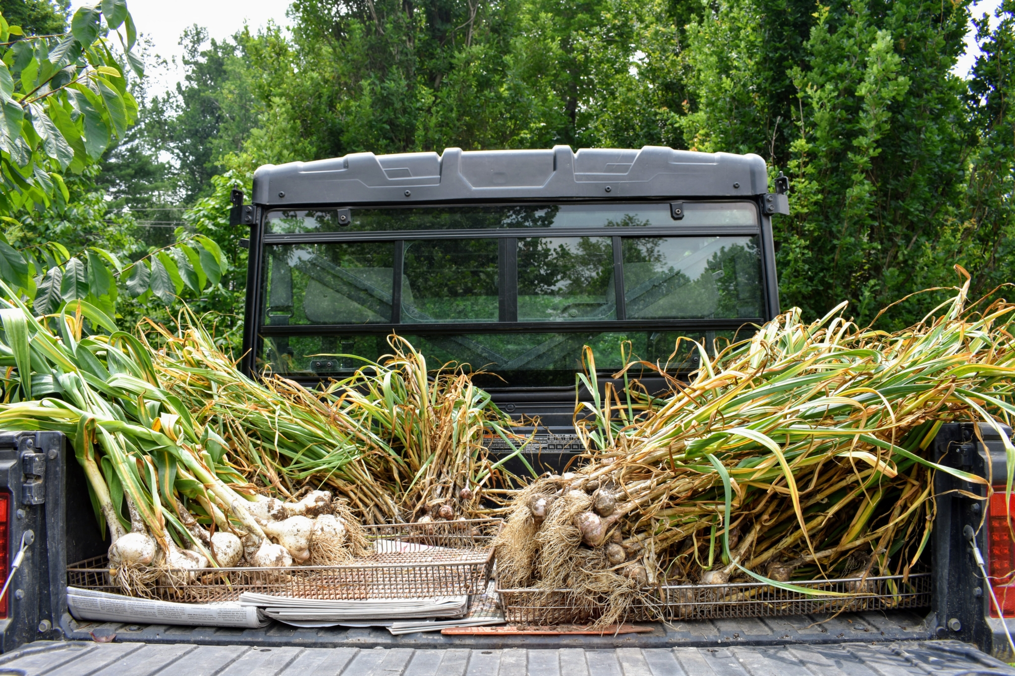 Using Polaris All-Terrain Vehicles Around the Farm - The Martha Stewart ...