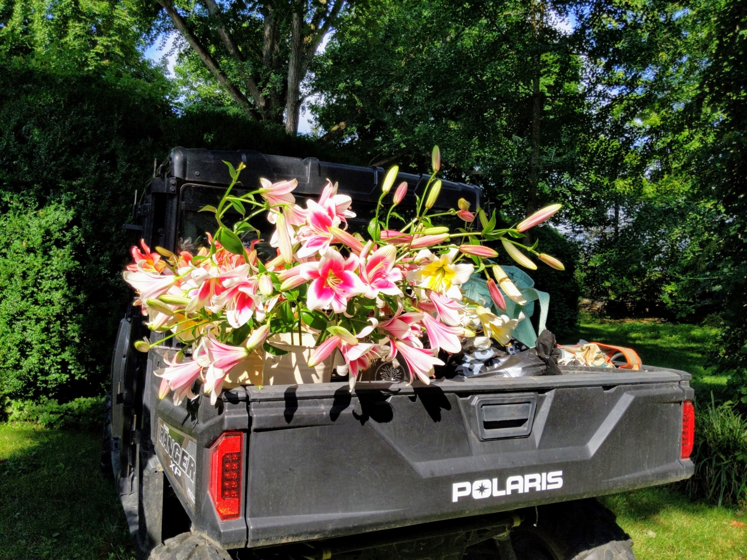Using Polaris All-Terrain Vehicles Around the Farm - The Martha Stewart ...