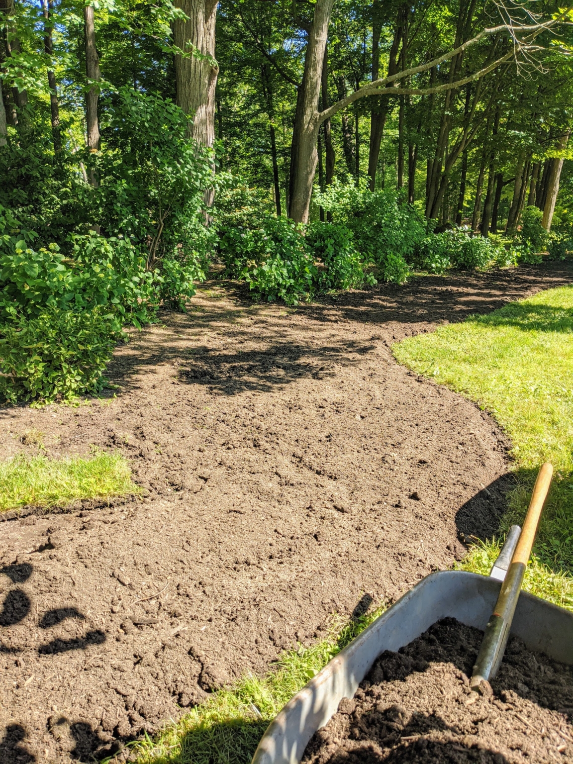 My Growing Perennial Border - The Martha Stewart Blog