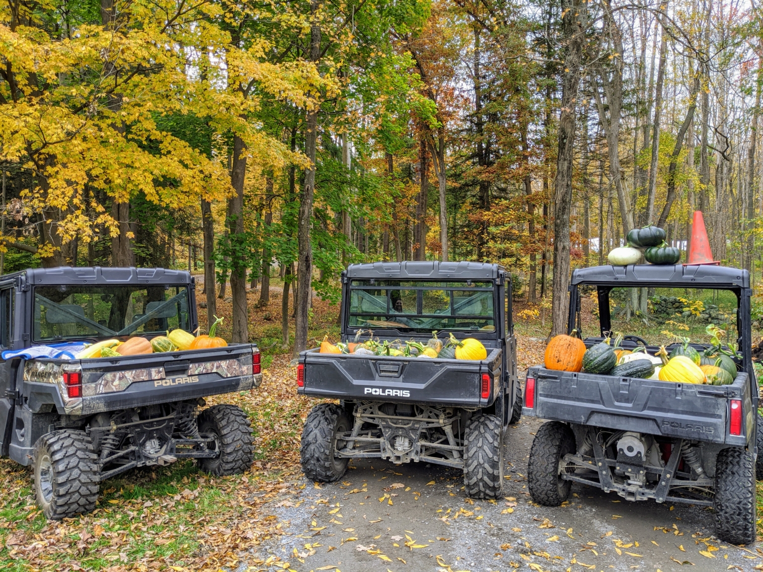 Using Polaris All-Terrain Vehicles Around the Farm - The Martha Stewart ...
