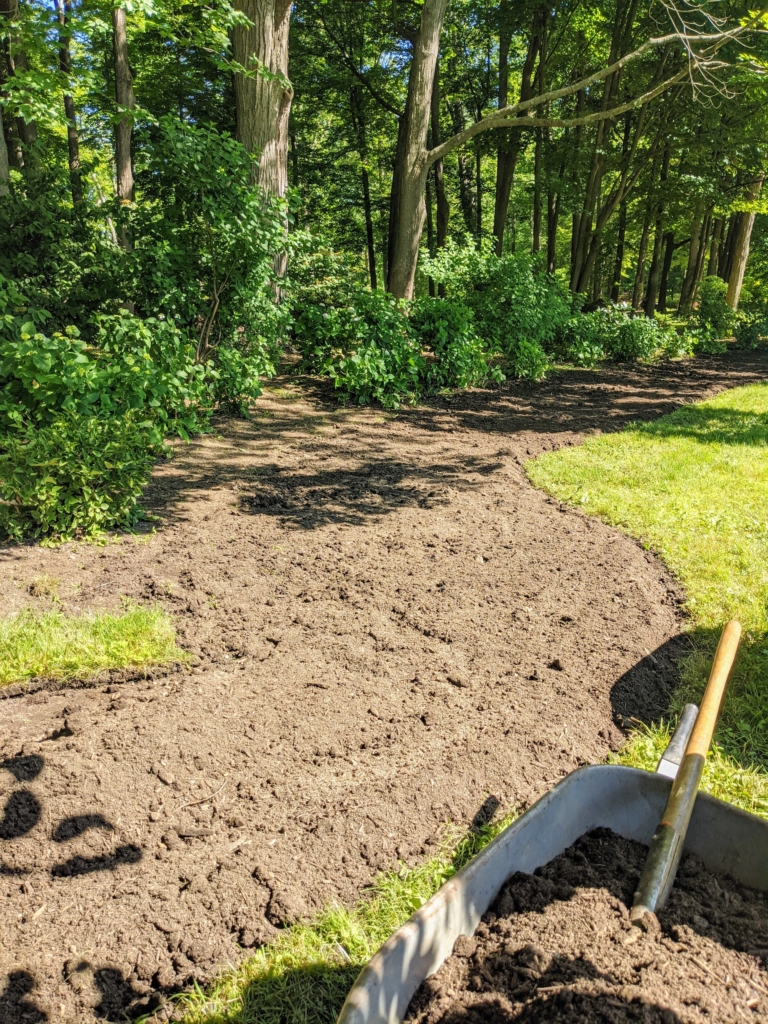 My Growing Perennial Border - The Martha Stewart Blog