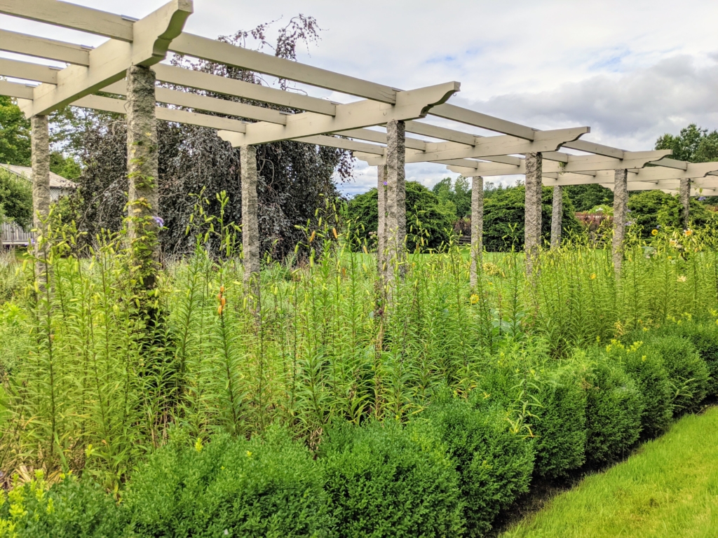 My Long Pergola in Summer - The Martha Stewart Blog